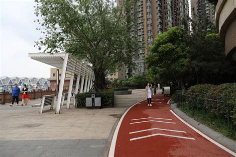 “绿”动海岸线，“道”处是风景！走，一起打卡市北滨海绿道，看后海新“潮”