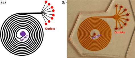 10 Loop Spiral Shaped Inertial Microfluidic Device A Schematic B Download Scientific Diagram