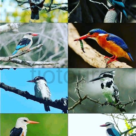 Search For Tour Find Your Perfect Trip With Sikuuku Tours Hotels
