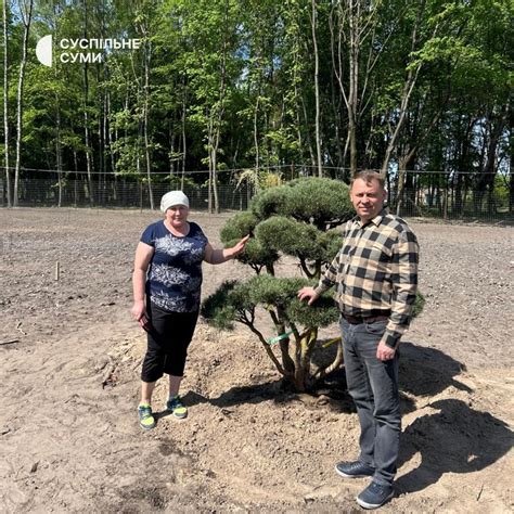 Суспільне 🌳 У селі Козацьке Бочечківської громади створили новий еко парк з екзотичними