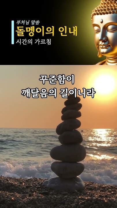 부처님말씀 꾸준함의 힘 돌멩이가 알려주는 수행의 비밀 불교명언 석가모니명언석가모니말씀깨달음 명언 좋은글 인생조언 Youtube