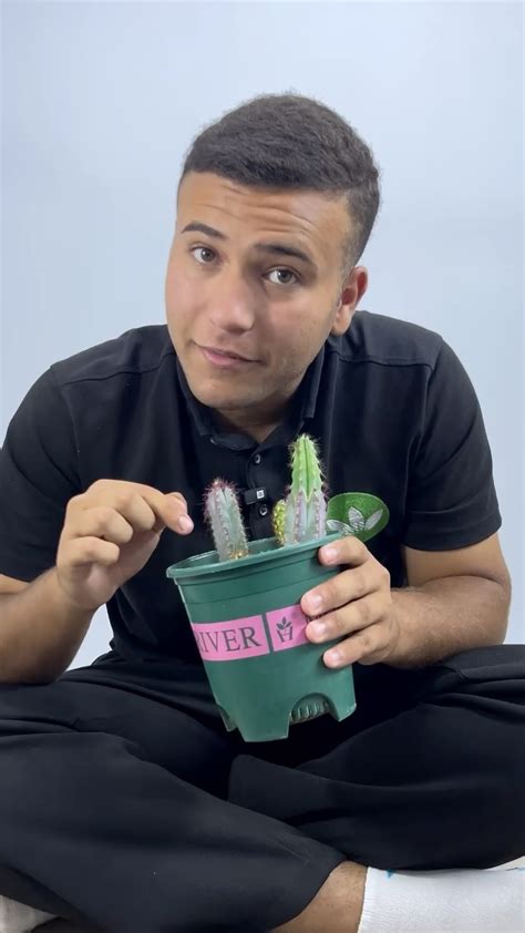 Greenomiq • Instagram Photos And Videos
