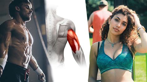 The Best Exercises For Bigger Triceps Which Is The Winner BOXROX