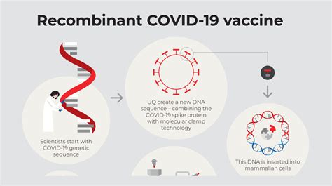 What Is A Recombinant Vaccine Australian Manufacturing