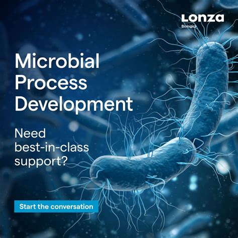 Microbial Process Development And Optimization Lonza Lonza