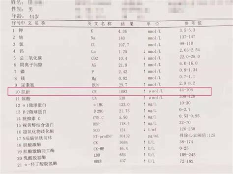 血清肌酐 血肌酐 伤感说说吧