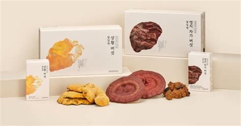 정관장 홍삼·녹용 이어 버섯 달임액 출시…프리미엄 시장 확장
