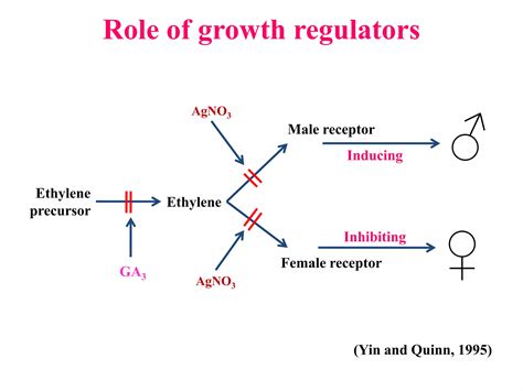 Sex Expression In Cucurbits Ppt