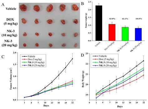 Synthesis And Biological Evaluation Of Novel 2 Amino 14 Naphthoquinone