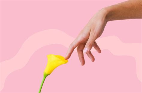 Clitoral Stimulation A Guide To Finding And Pleasuring Your Clitoris Femia