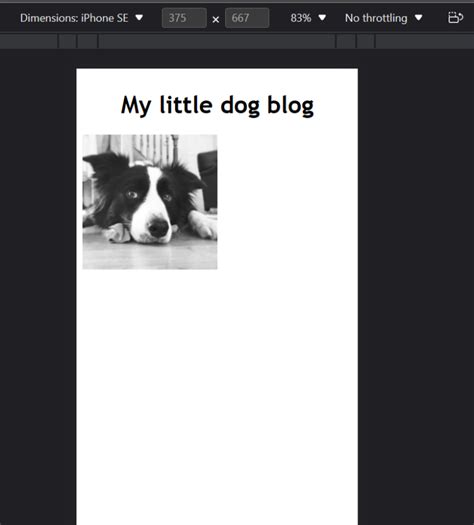 How To Resize An Image Using Css Browserstack