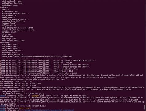 Validation Sanity Check Error Executing Job With Overrides · Issue 87