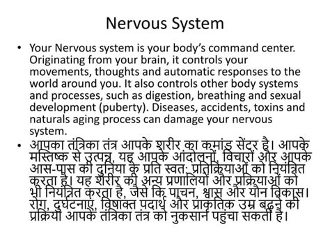 Nervous System Human Biology In Detailpptx