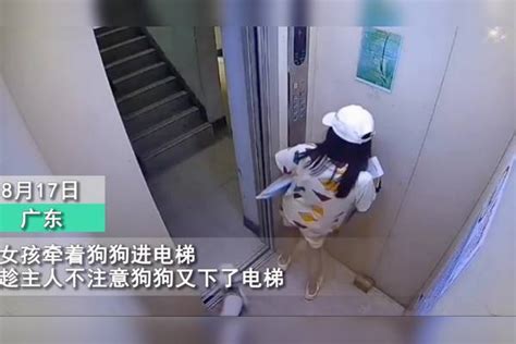 狗绳被电梯夹致女孩手腕无法挣脱，无助崩溃大声喊救命，监控曝光