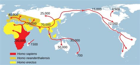 Early Homo Sapiens Lived At The Same Time As Many Other Human Species
