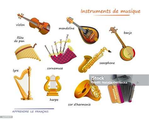 Vetores De Aprenda Francês Nomes De Instrumentos Musicais Em Francês