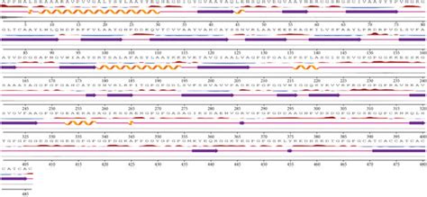 The Graphical Output Of The Secondary Structure Analysis Provided By
