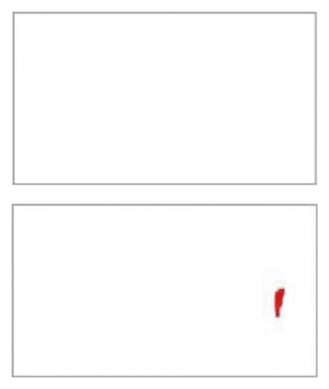 The Comparison Between The Three Methods For Image Alignment Top Row