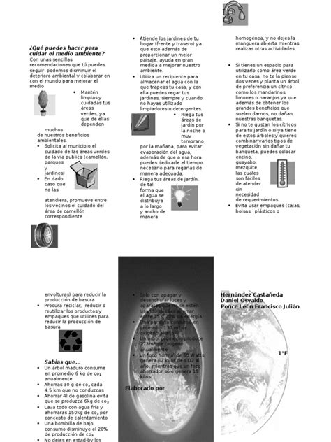 Triptico De Valores Pdf Té Agua