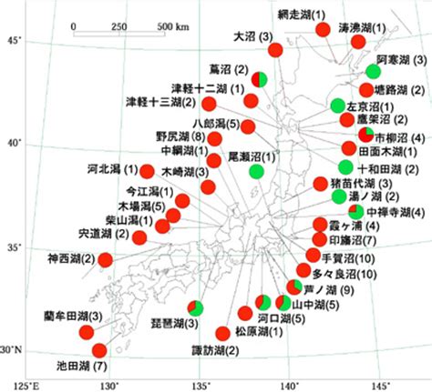 車軸藻の役割現状 NIES コレクション