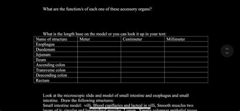 What Are The Function S Of Each One Of These Chegg