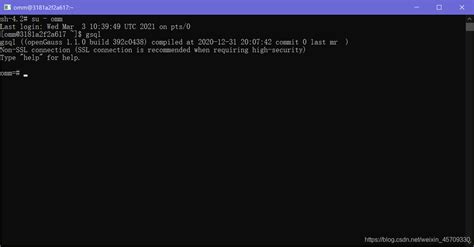 【数据库】docker配置opengauss数据库docker Opengausdb Csdn博客