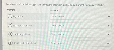 Solved Match Each Of The Following Phases Of Bacteria Growth Chegg