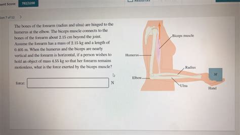 Solved Resources Hent Score Biceps Muscle Cion Chegg