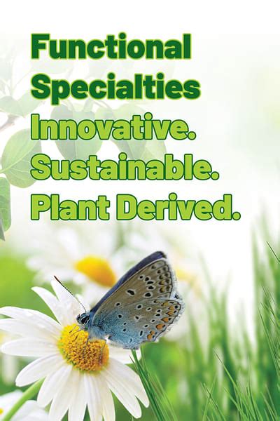 Cosmetic Manufacturers Environmentally Friendly Phoenix
