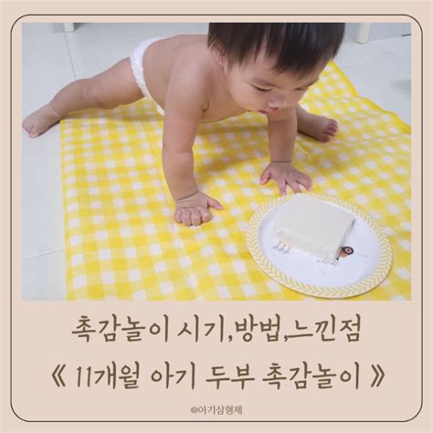 11개월 아기 두부 촉감놀이 후 느낀점 시기 방법 네이버 블로그