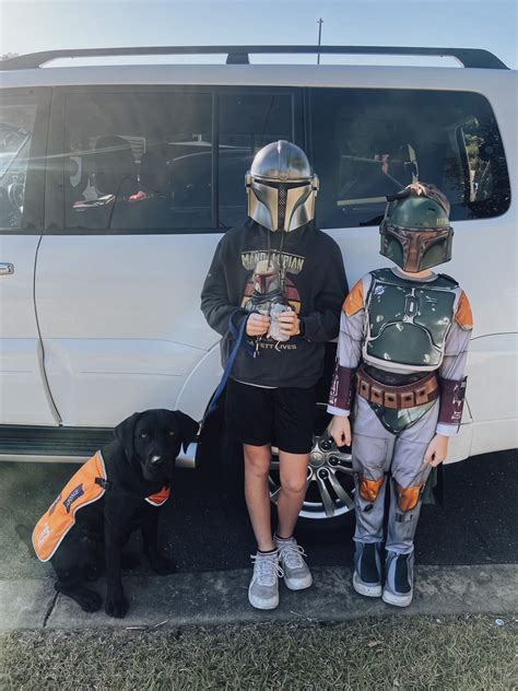 How Is Davey Going With His Training Moreton