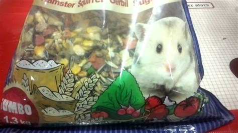 햄스터 키울때 필요한 물건소개 Youtube