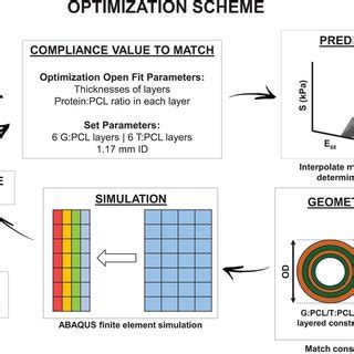 A Diagram Illustrating The Optimization Scheme Used In This Study Download Scientific Diagram