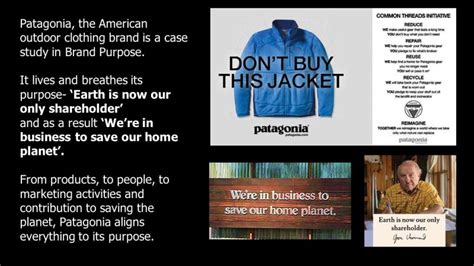 Anand Narasimha On Linkedin Marketing Brandmarketing Brandpurpose Patagonia 28 Comments