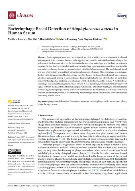 Pdf Bacteriophage Based Detection Of Staphylococcus Aureus In Human Serum