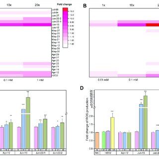 Flow Cytometry Detection Results Of Intracellular ROS Generation When Download Scientific