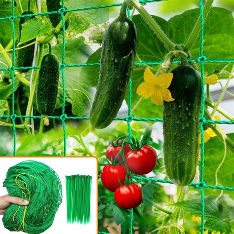 Facega Cucumber Trellisheavy Duty Garden Trellis Netting For Climbing