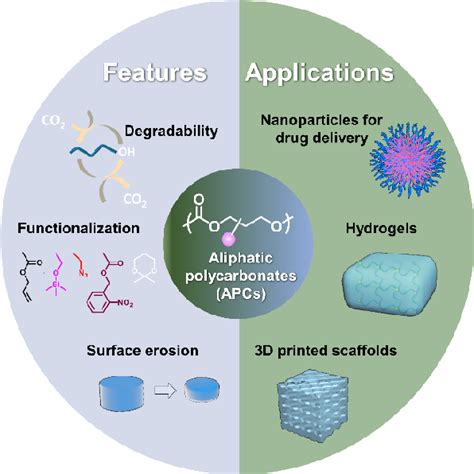 Figure 1 From University Of Birmingham Aliphatic Polycarbonates From Cyclic Carbonate Monomers