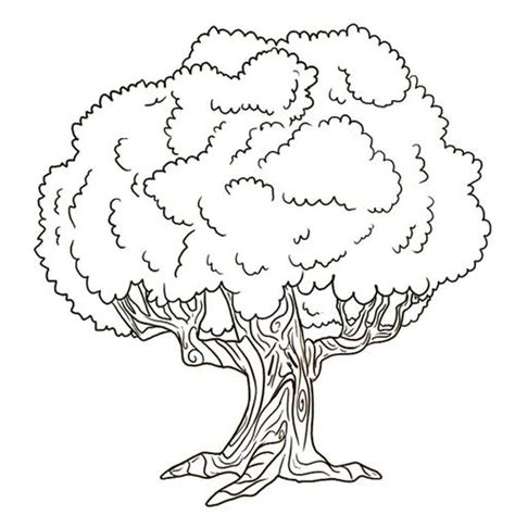 大树树根怎么画简笔画 简笔画图片大全 普车都