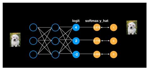 Logit 확률 Sigmoid Softmax
