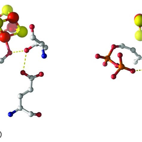 Crystallographic Structures Depicting The Rotation Of The Hydroxymethyl Download Scientific