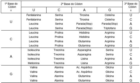 Assinale A Proposição Correta Se O Códon Do Rna Mensageiro