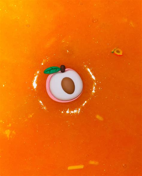 Peach Delight Slime Etsy
