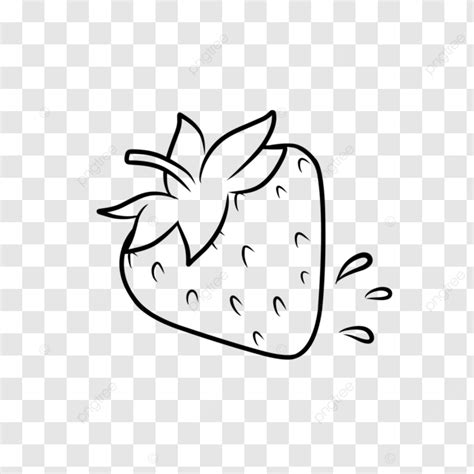 Strawberry Drawing Sketch Outline Doodle Vector Illustration