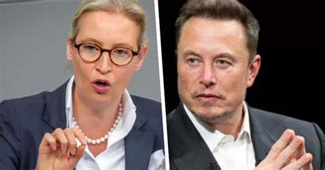 Elon Musk Und Alice Weidel Im Online Gespräch Politik