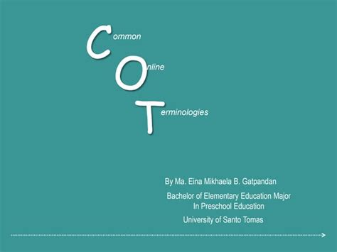 Common Online Terminologies Ppt Common Online Terminologies Ppt