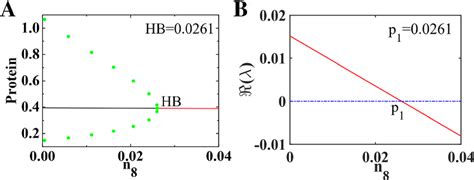 A The Bifurcation Diagram Of Protein Concentration Versus Model