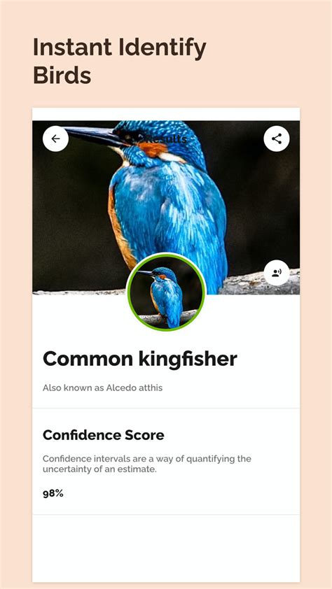 Bird Identifier Bird Id لنظام Iphone تنزيل