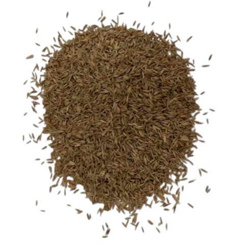 Cocksfoot Pastoral Improvements