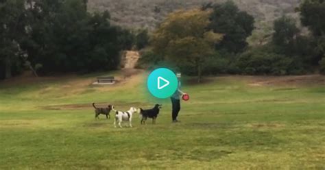 fetch on imgur